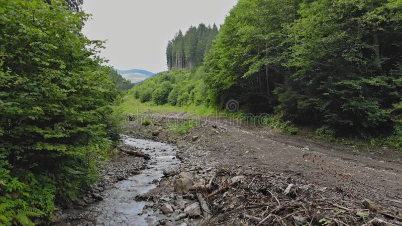 Forest Stream Flows in the Beautiful Mountains Stock Video - Video of ...