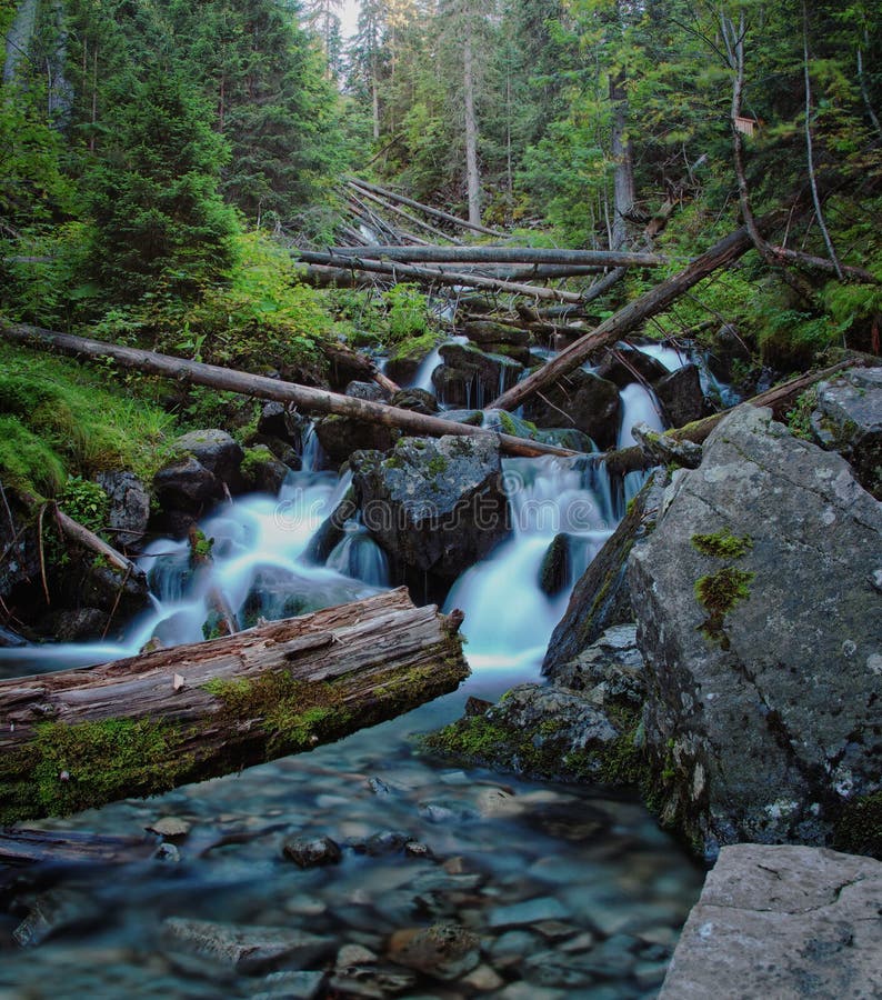 Forest Stream with Long Exposure Water Stock Photo - Image of river ...
