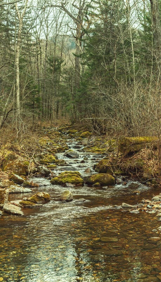 A Forest Stream with Moss-covered Rocks. Stock Image - Image of water ...