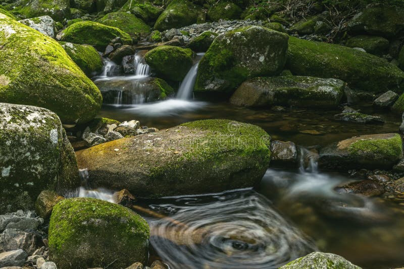 Forest Stream, Moss-covered Rocks. Stock Photo - Image of stream ...