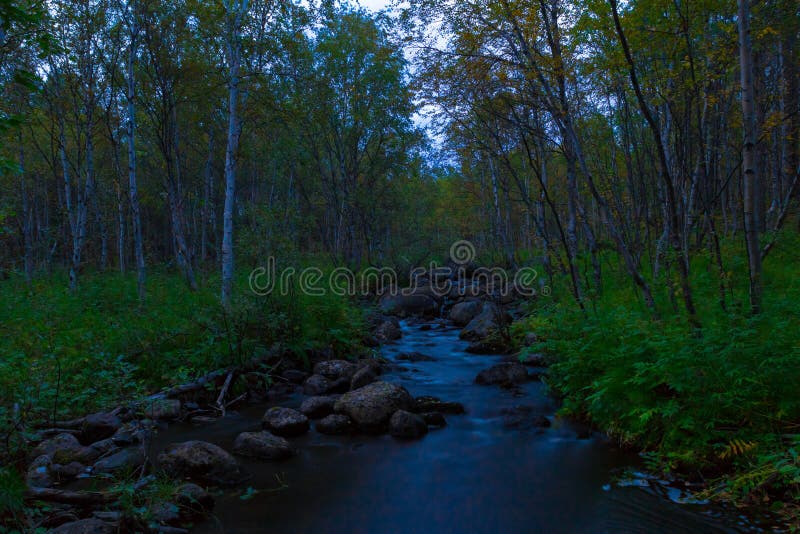 Forest stream at night stock image. Image of rapids, stream - 48507065