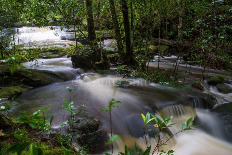 Forest stream stock photo. Image of motion, design, asia - 64098658