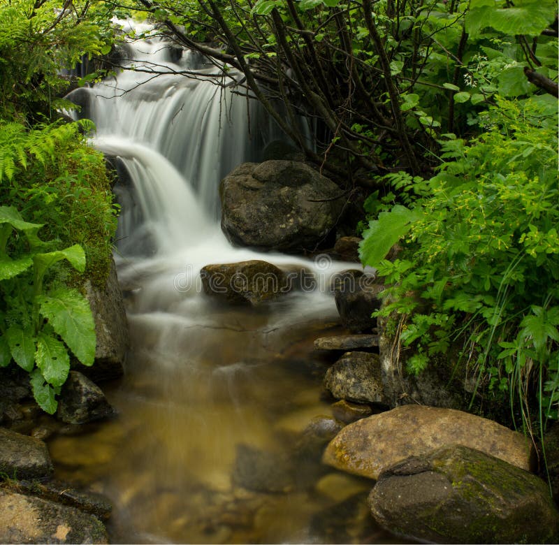 Forest Stream with Rapids and Cascades Stock Photo - Image of outdoor ...