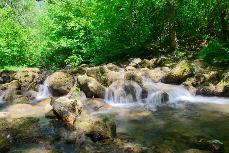 Forest Stream with Rifts and Rocks on a Summer Day Stock Image - Image ...