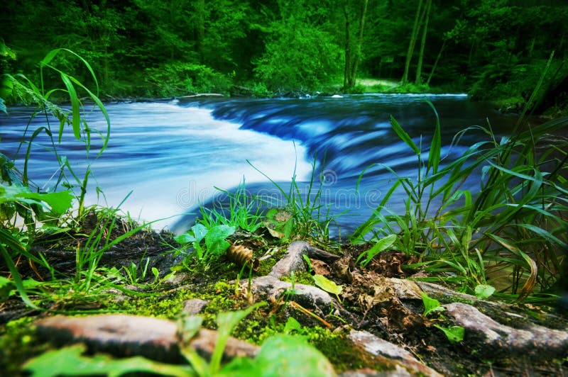 Forest stream running fast stock photo. Image of forest - 15643718