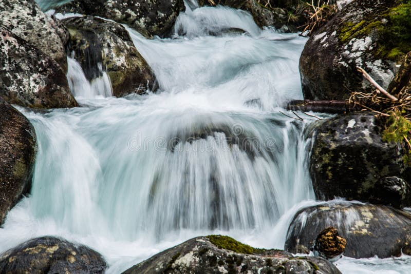 Forest Stream Running Over Mossy Rocks Stock Photo - Image of earth ...