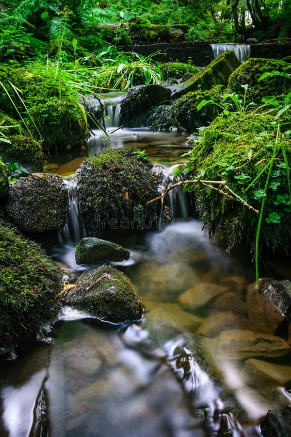 Forest Stream Running Over Mossy Rocks Stock Image - Image of color ...