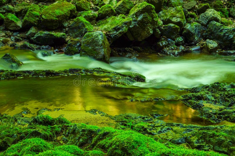 Forest Stream Running Over Mossy Rocks. Filtered Image: Colorful Effect ...