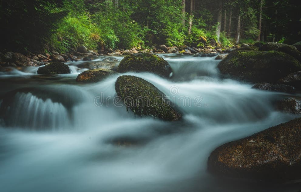 Forest Stream Running Over Mossy Rocks. Long Exposure. Stock Photo ...