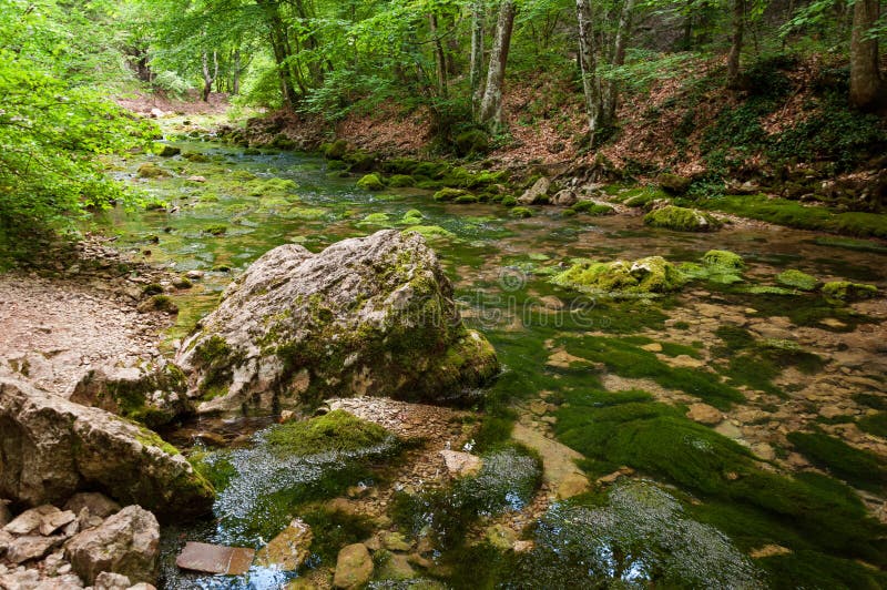 Forest Stream Running Over Mossy Rocks. the Mountain River in Crimea ...