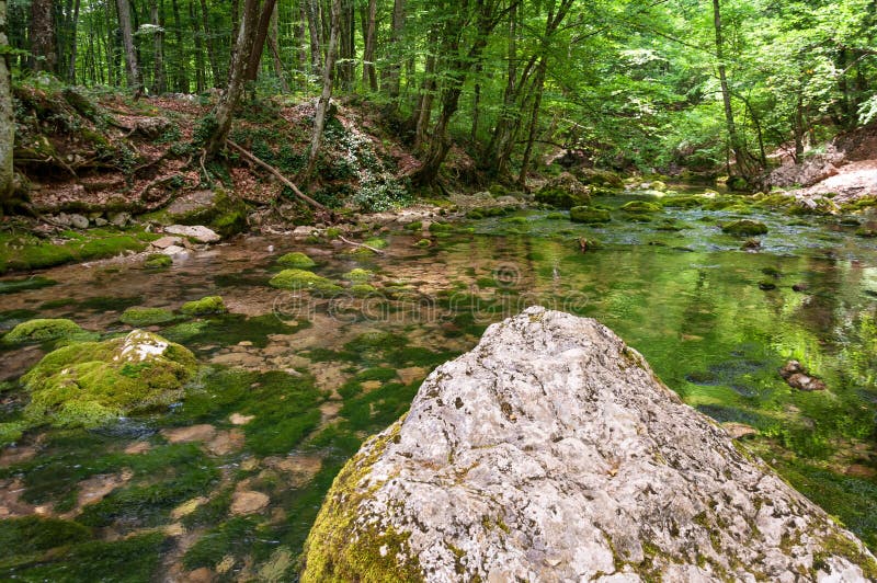 Forest Stream Running Over Mossy Rocks. the Mountain River in Crimea ...