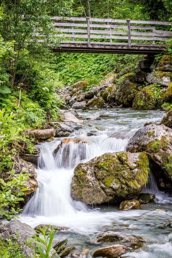 Forest Stream Running Over Rocks Stock Image - Image of outdoors ...