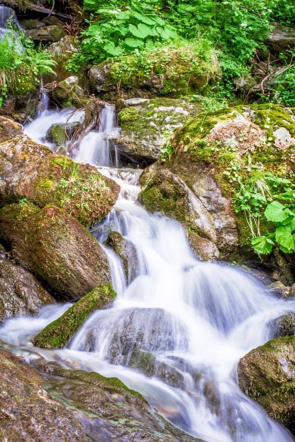 Forest Stream Running Over Rocks Stock Image - Image of rain, river ...