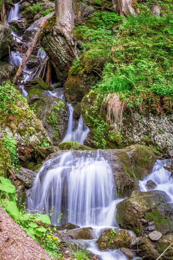 Forest Stream Running Over Rocks Stock Photo - Image of outdoors, green ...