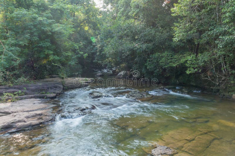 Forest Stream Running Over Rocks Stock Photo - Image of outdoor, flow ...