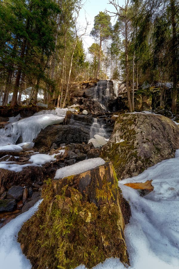 A Forest Stream in a Scandinavian Forest in Early Spring, Long Exposure ...