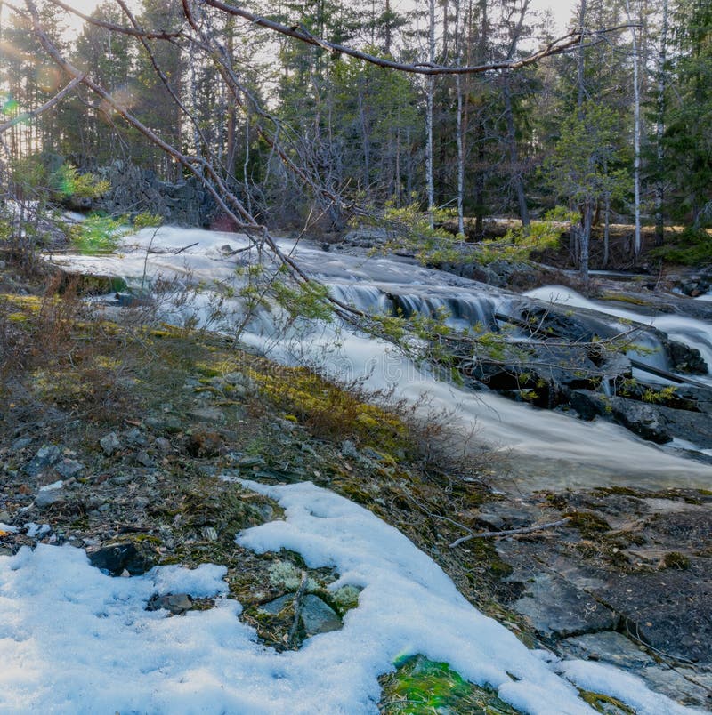 A Forest Stream in a Scandinavian Forest in Early Spring, Long Exposure ...