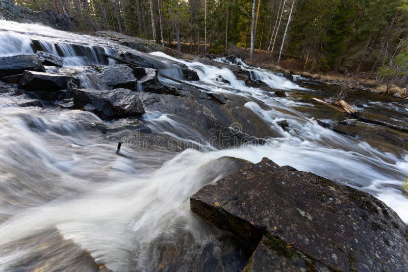 A Forest Stream in a Scandinavian Forest in Early Spring, Long Exposure ...