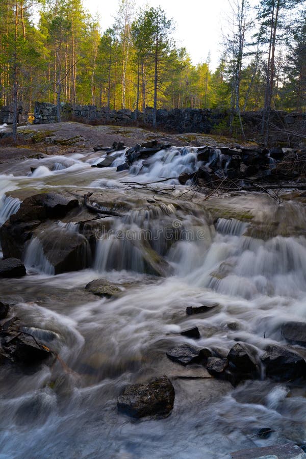 A Forest Stream in a Scandinavian Forest in Early Spring, Long Exposure ...