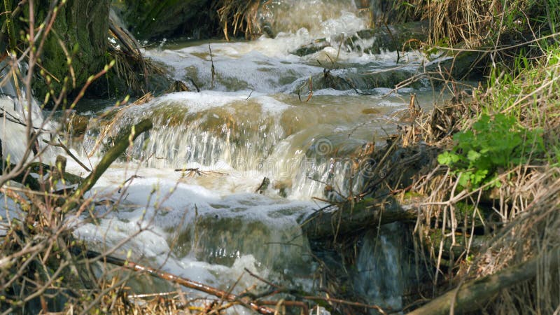 Forest Stream and Small Waterfall among Dry Grass and Trees. Rapid Flow ...