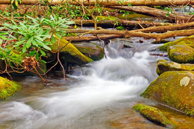 A Forest Stream in Spring stock photo. Image of outdoors - 25201338