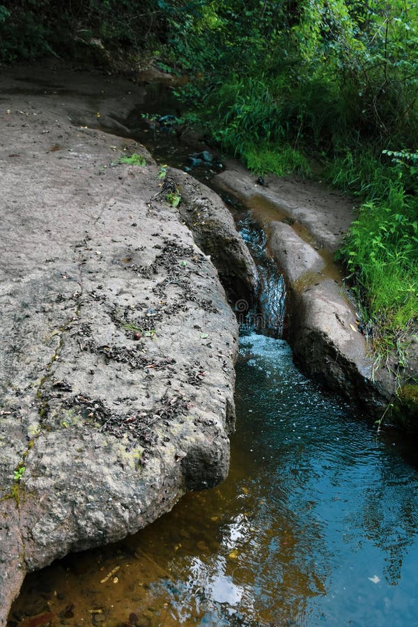 Forest Stream. Spring Water. a Forest Stream Flows Over Gray-brown Rock ...