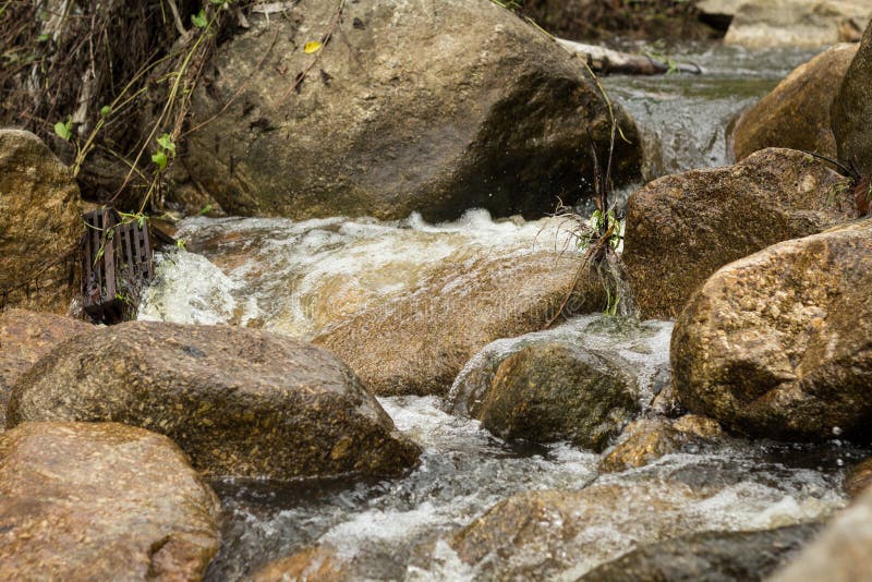Forest Stream among Stones. Clean Cold Water Stream in Mountains Stock ...