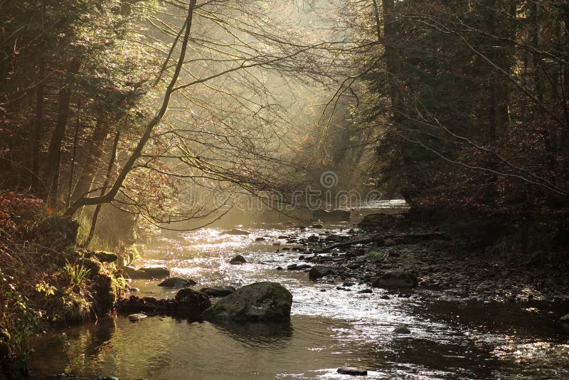 Forest Stream Sun Rays foto de archivo. Imagen de descendente - 63170902