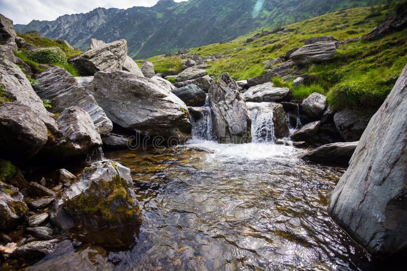 Forest Stream Surrounded by Vegetation Stock Image - Image of stone ...