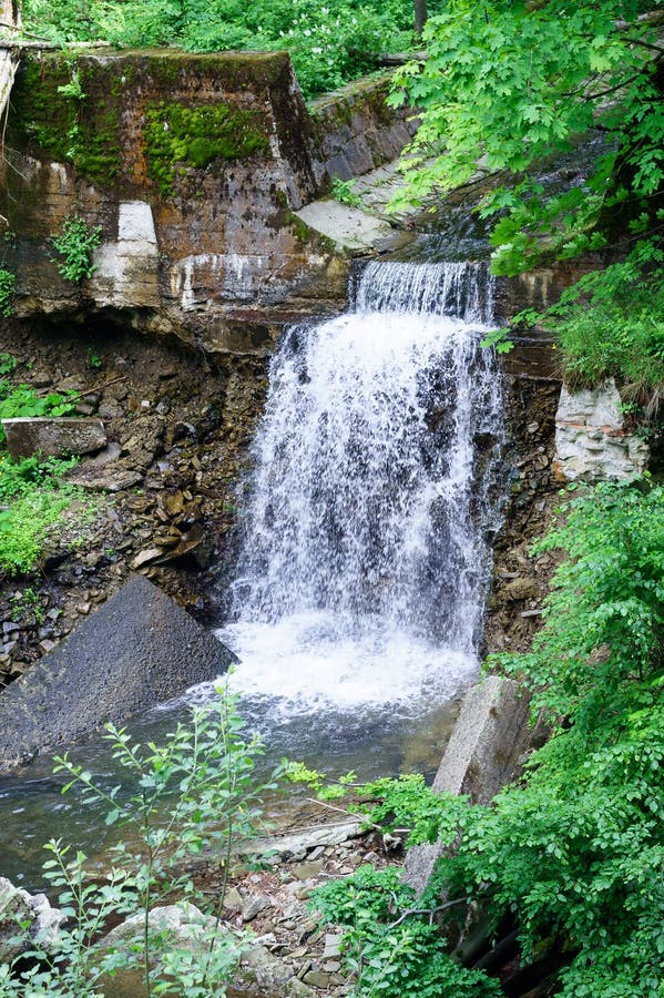 A Forest Stream among Trees with a Small Waterfall, Beautiful Colors ...