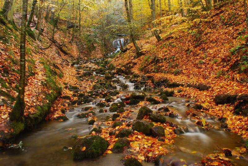Forest stream in Turkey. stock image. Image of outdoor - 3700897