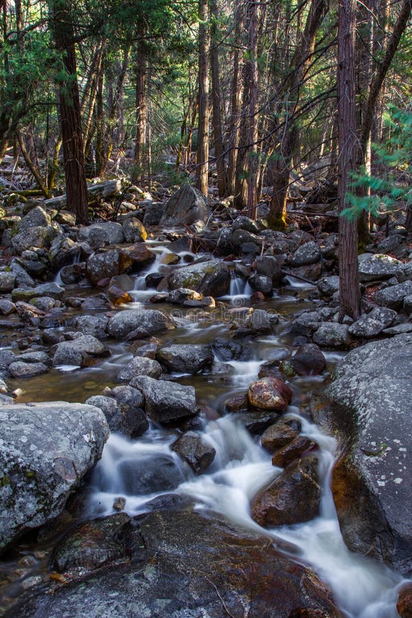 Forest Stream stock image. Image of boulders, forest - 50918387
