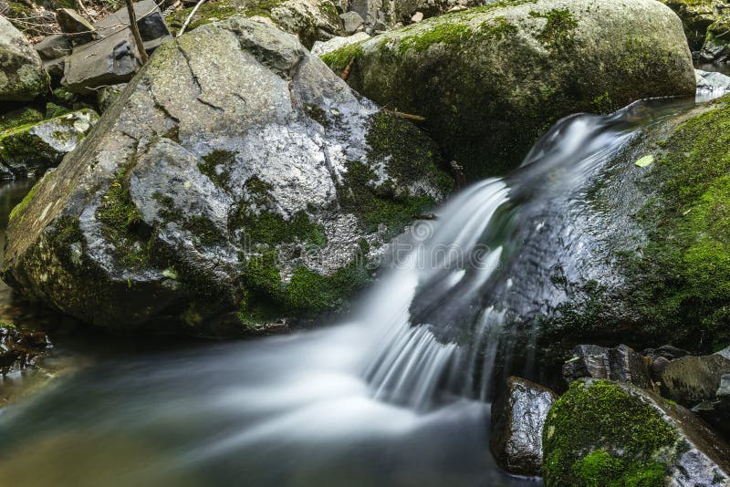 Forest Stream, Water Falls from a Stone. Stock Photo - Image of autumn ...
