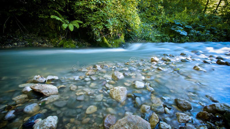 Forest Stream stock image. Image of clean, alps, exposure - 49264737