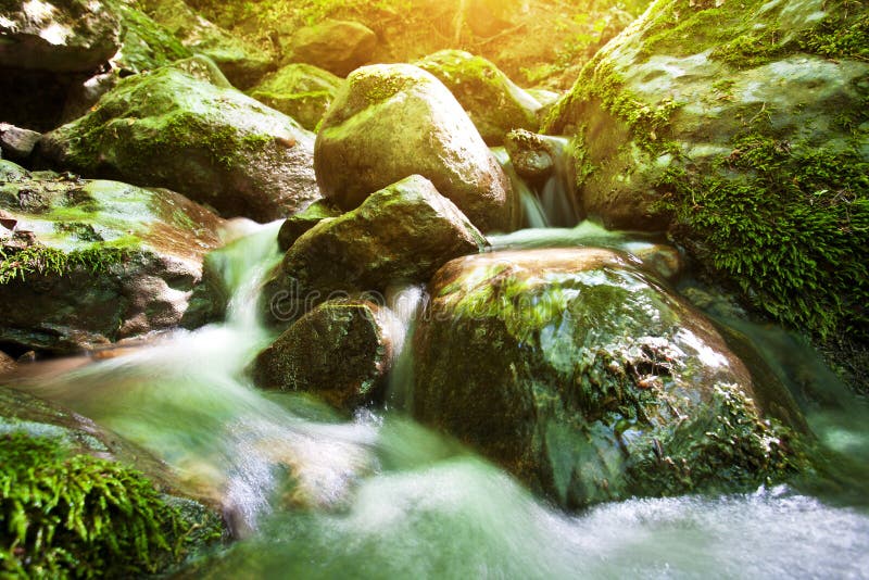 Forest Stream with a Waterfall Stock Image - Image of hiking, movement ...