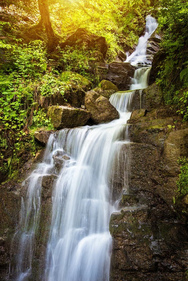 Forest stream waterfall stock image. Image of mountain - 92860731