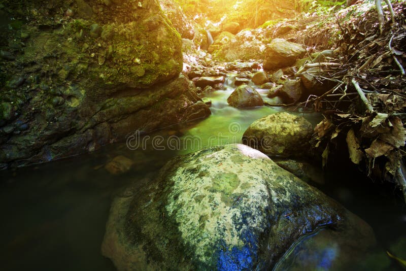 Forest Stream with a Waterfall and Rocks Stock Photo - Image of spring ...