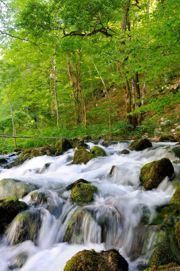 Forest stream stock image. Image of landscape, rocks - 36656349