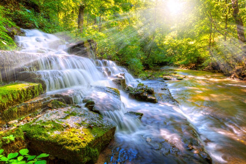 Forest Stream and Waterfall Stock Image - Image of waterfall, rocks ...