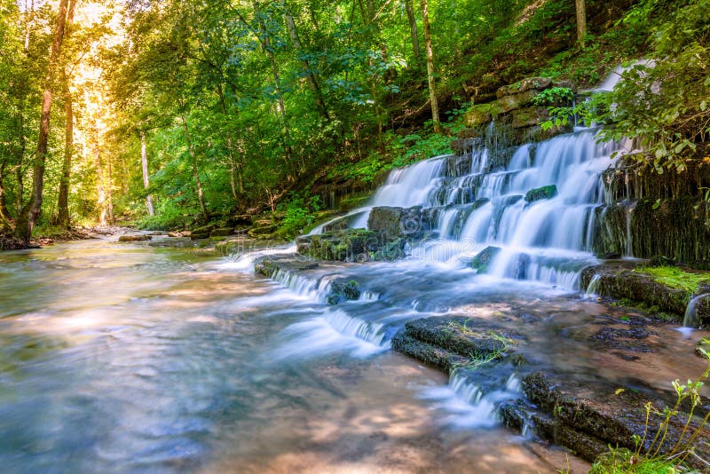 Forest Stream and Waterfall Stock Image - Image of forest, woods: 34094701