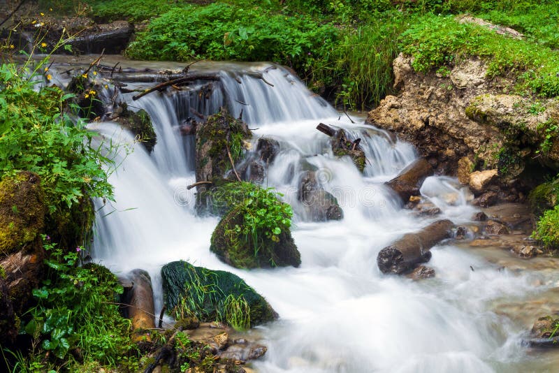 Forest Stream Waterfall Surrounded by Vegetation Stock Image - Image of ...