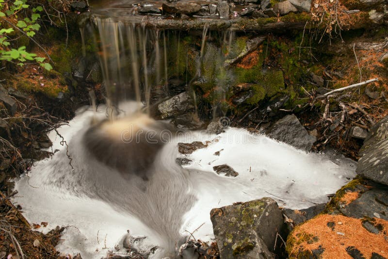 Forest Stream with a Waterfall. Stock Photo - Image of taiga, flow ...