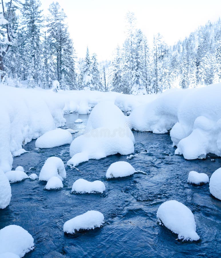 Winter scene stock image. Image of forest, frost, snowflake - 4088393