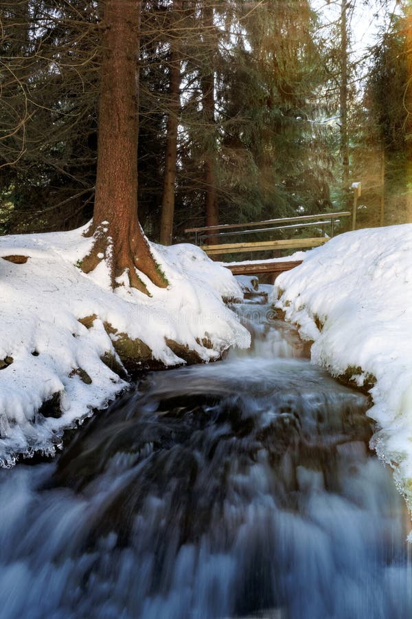 Forest stream in winter stock photo. Image of december - 50529542