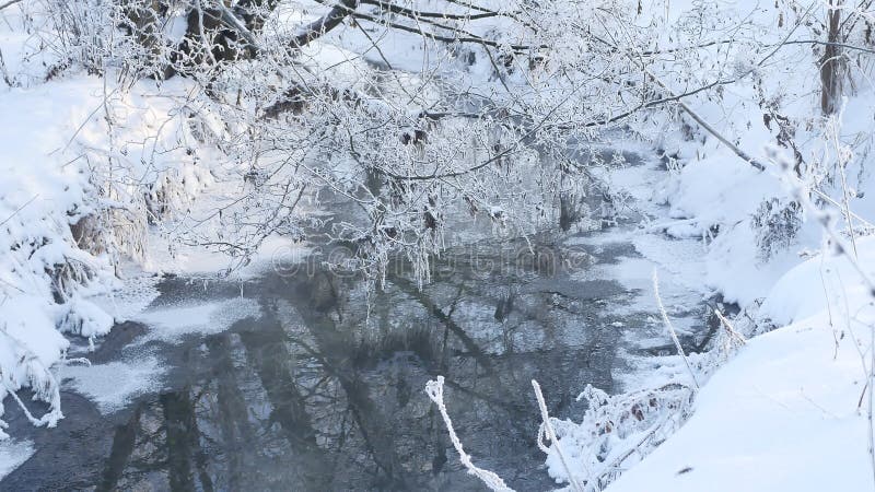 Forest Stream in Winter Snow Grass and Tree Nature Beautiful Landscape ...