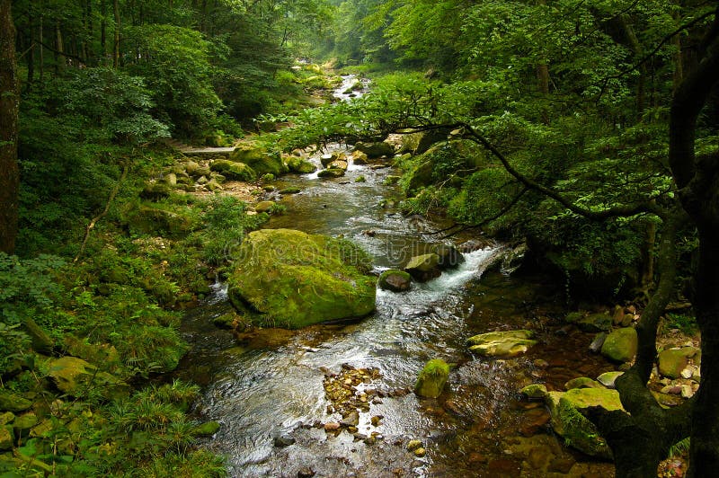 Limpid stream stock image. Image of flow, stone, pebble - 183477893