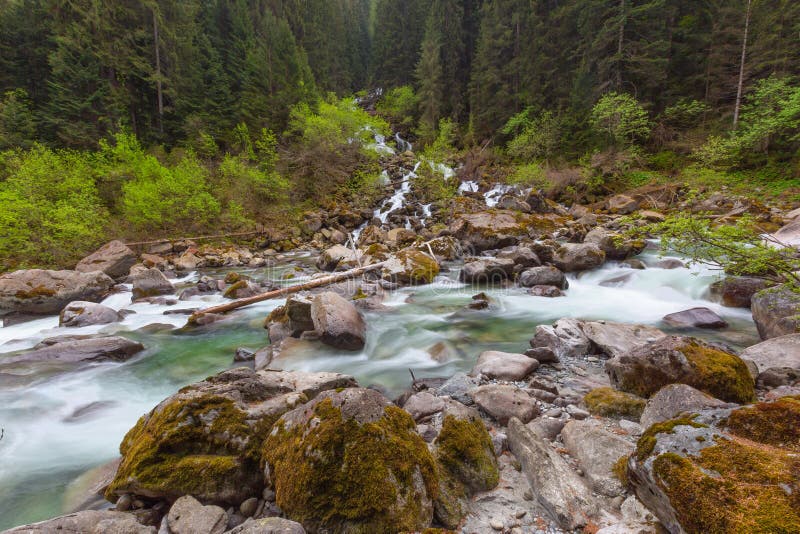 Forest Streams in Mountains at Spring Stock Image - Image of mountain ...
