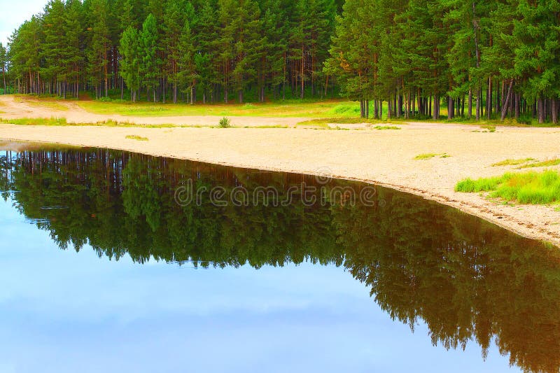 Forest Summer Lake Shore with Pine Trees Reflection in Water Stock ...