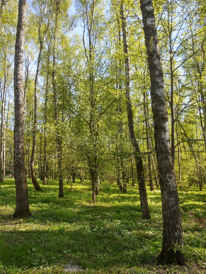 Dima Box Wallpaper Stock Photos - Free & Royalty-Free Stock Photos from ...