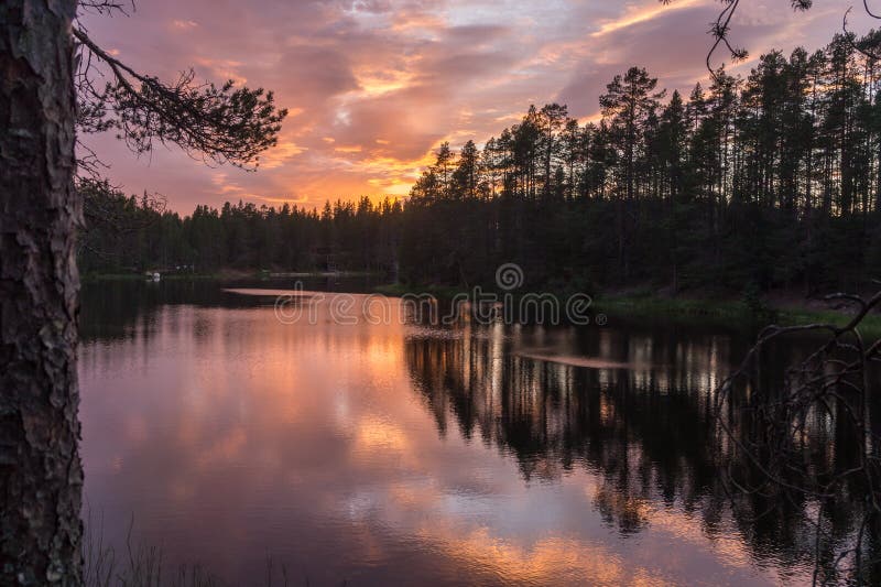 Forest at Sunset Over the Lake Stock Image - Image of nature, landscape ...